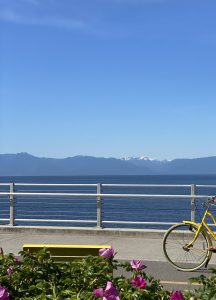 Dallas Road Self-Guided Walking Tour - The Maritime Museum of BC