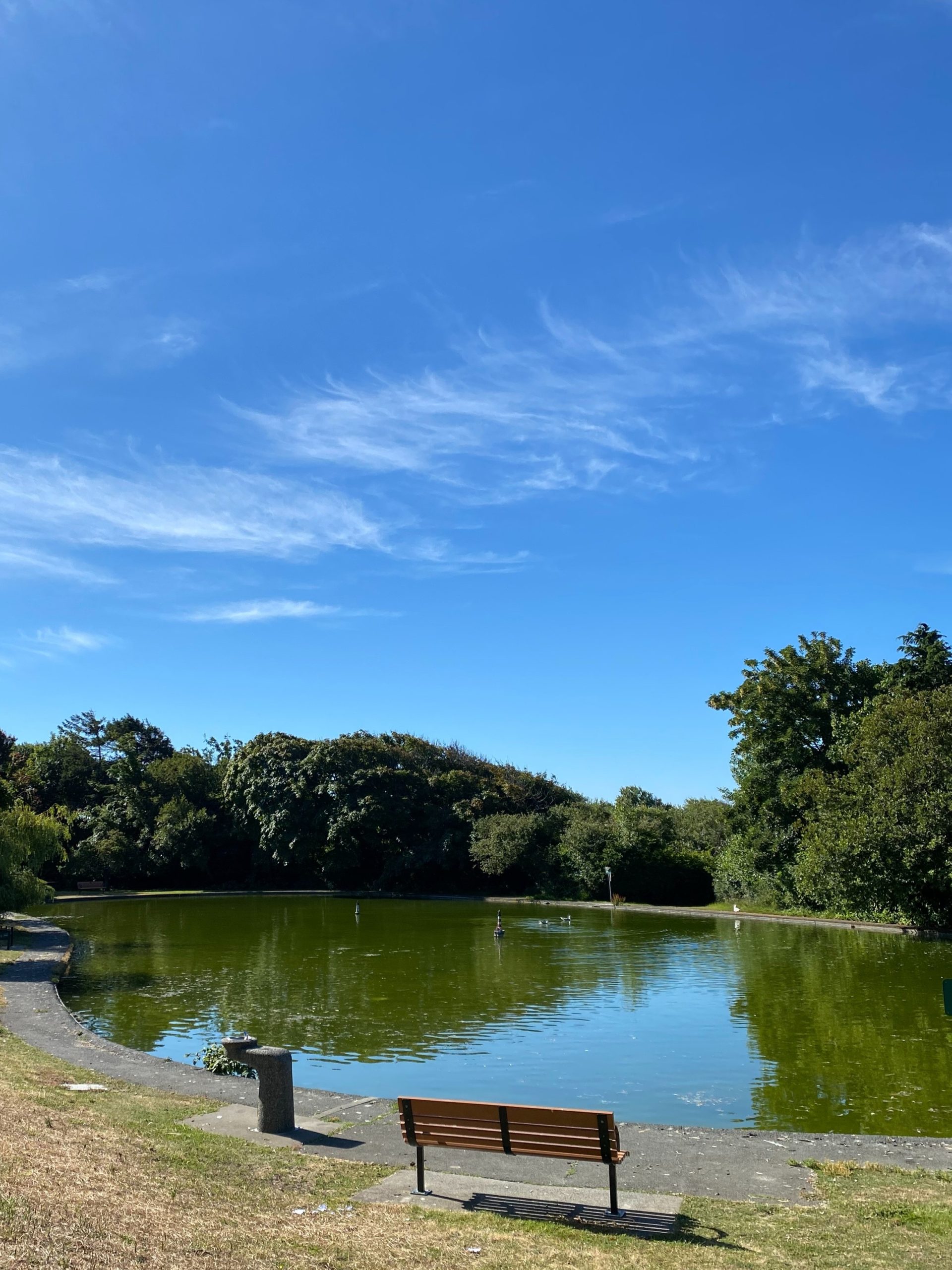 Dallas Road Self-Guided Walking Tour - The Maritime Museum of BC